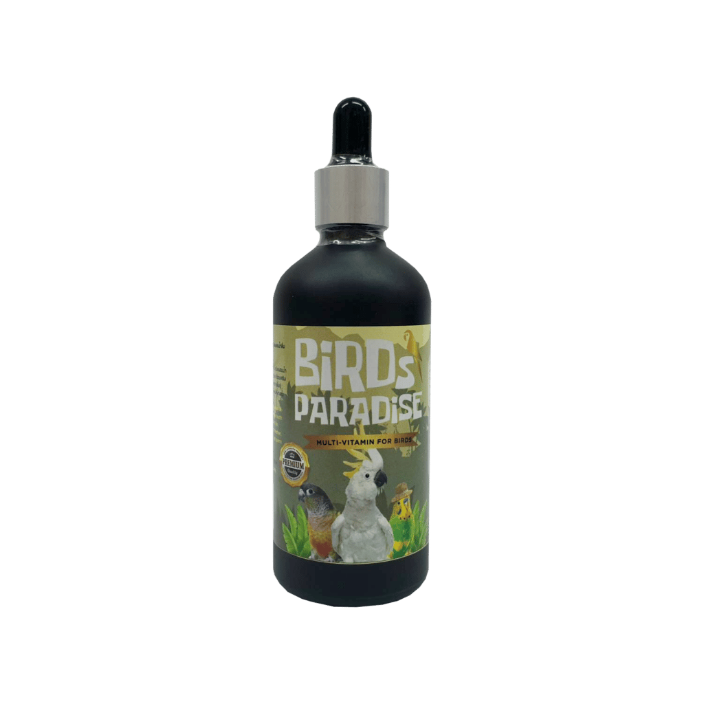 PET2GO - catalog for wholesale