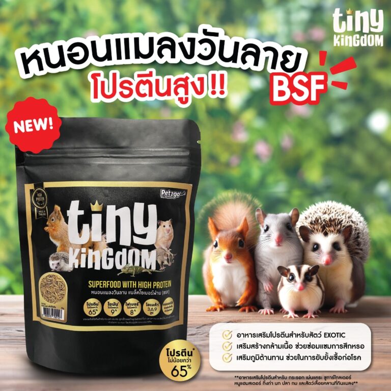 PET2GO - TKT06 || Tiny Kingdom หนอน BSF เสริมโปรตีน สำหรับสัตว์ EXOTIC 30g